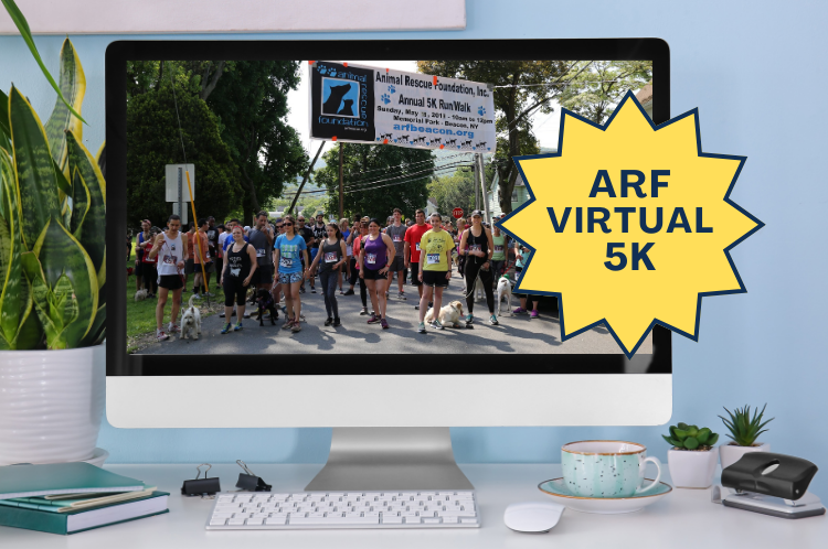 ARF Virtual 5K Run & Walk with the Dogs – ARF Beacon