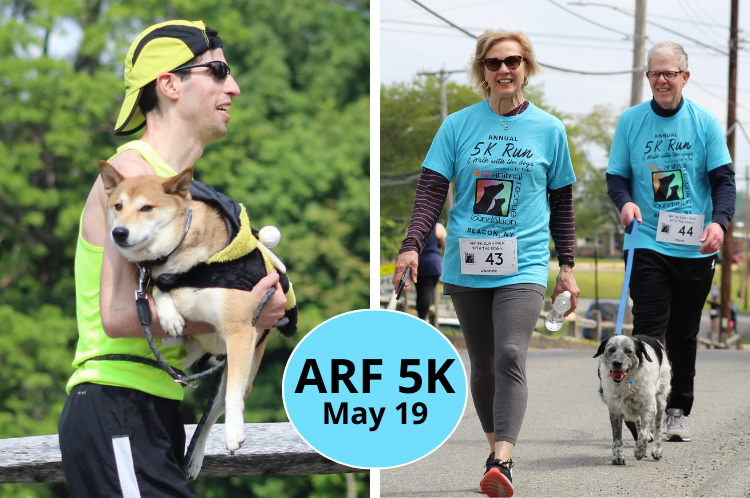 ARF’s 2024 5K Run/Walk with the Dogs – Animal Rescue Foundation